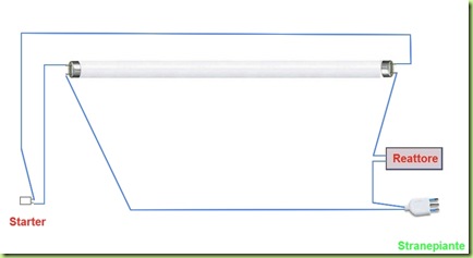 Luci neon per seminare piante grasse